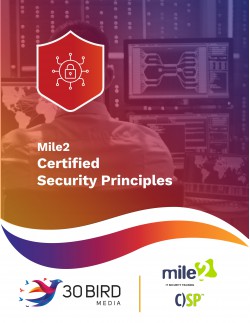 IT Security Courseware | 30 Bird Media