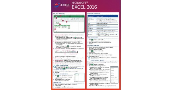 Buy Microsoft Excel 2016 Quick Reference Card | 30 Bird